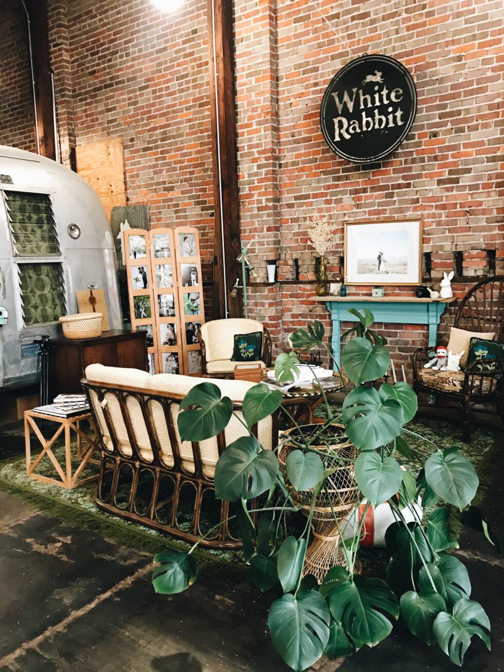 About | White Rabbit Studios