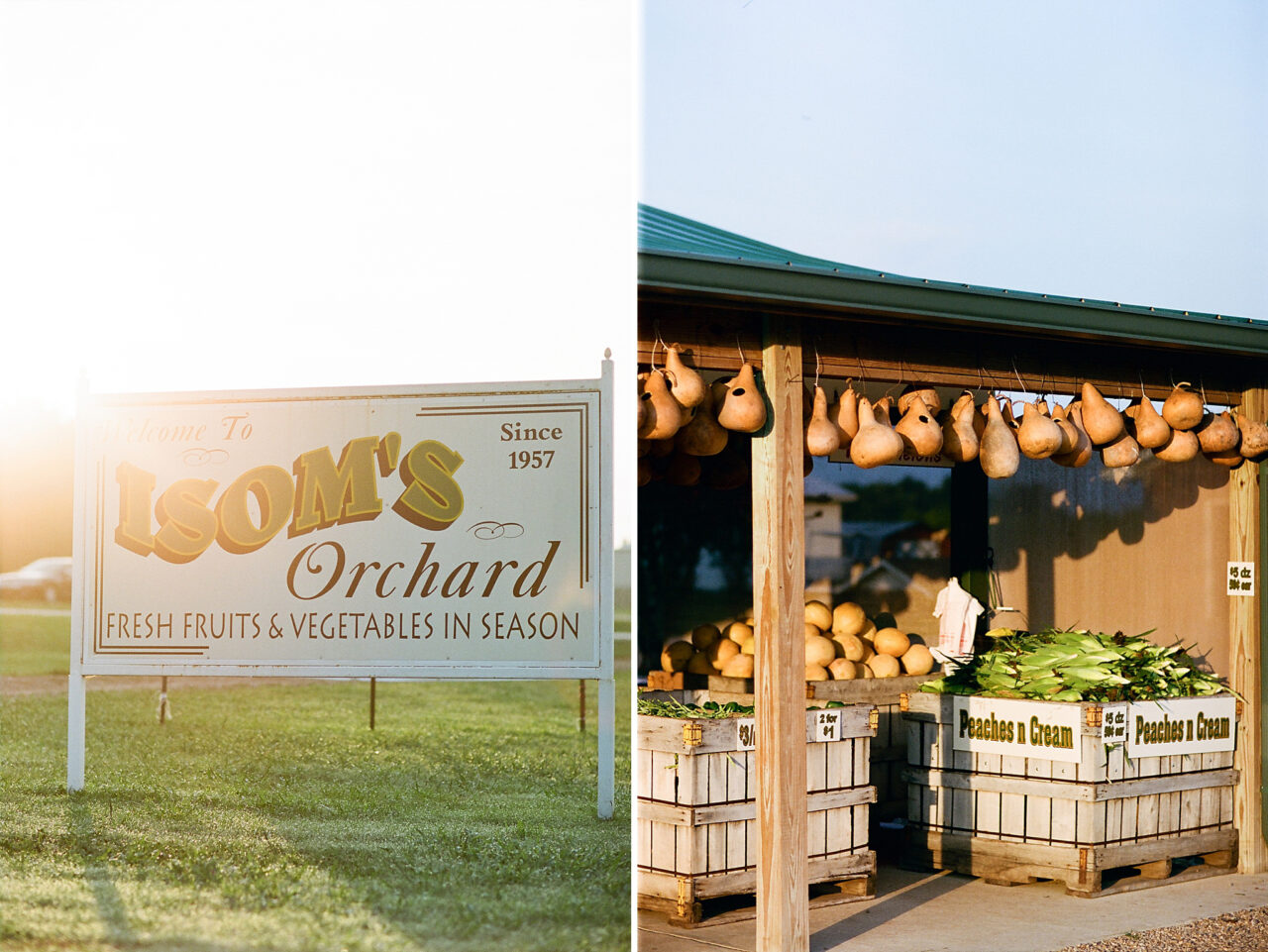 Isom’s Orchard | White Rabbit Studios